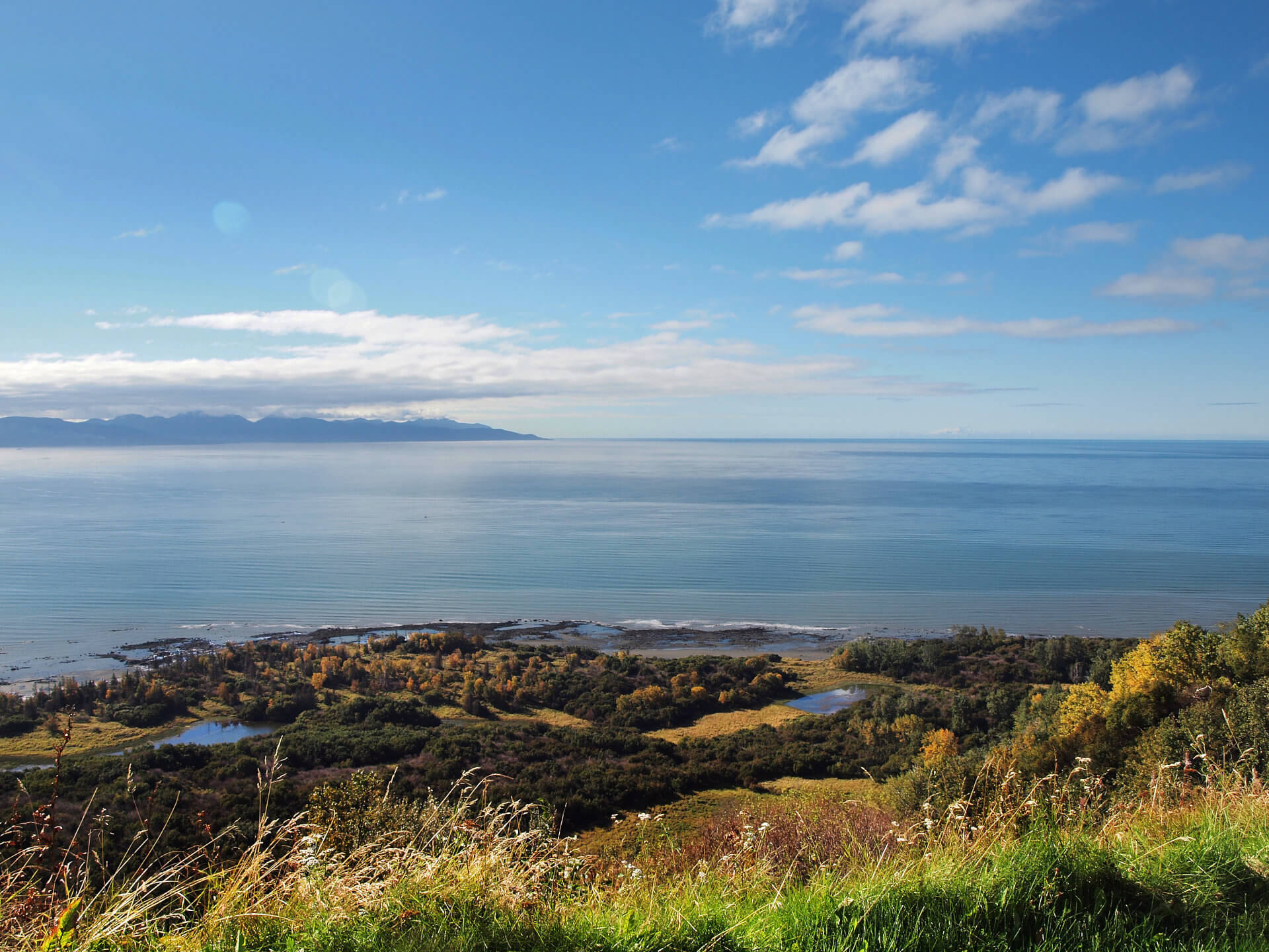 Alaskan Suites - Homer Cabins | Homer Cabin Rentals | Homer Vacation ...